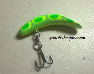 Finished Flatfish – Gone Fishing Northwest