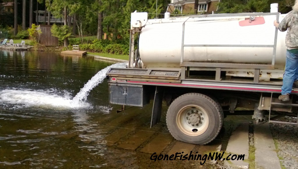 Stocking a lake – Gone Fishing Northwest