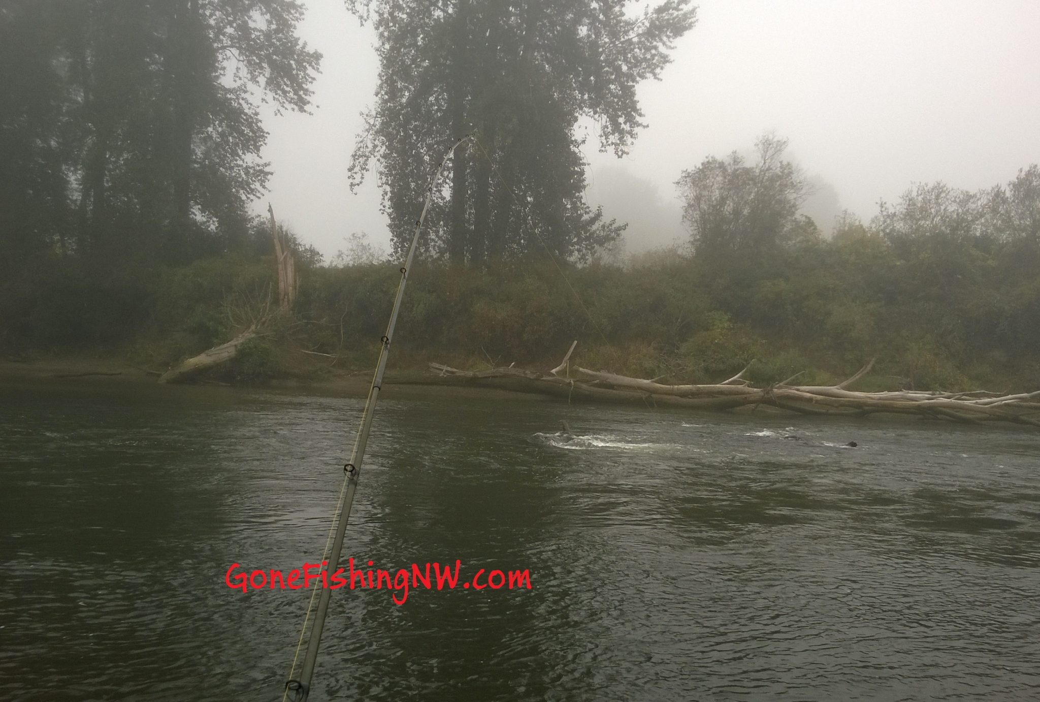 Fishing Douglas Bar on the Snohomish – Gone Fishing Northwest