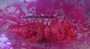 Curing Salmon Roe – Gone Fishing Northwest