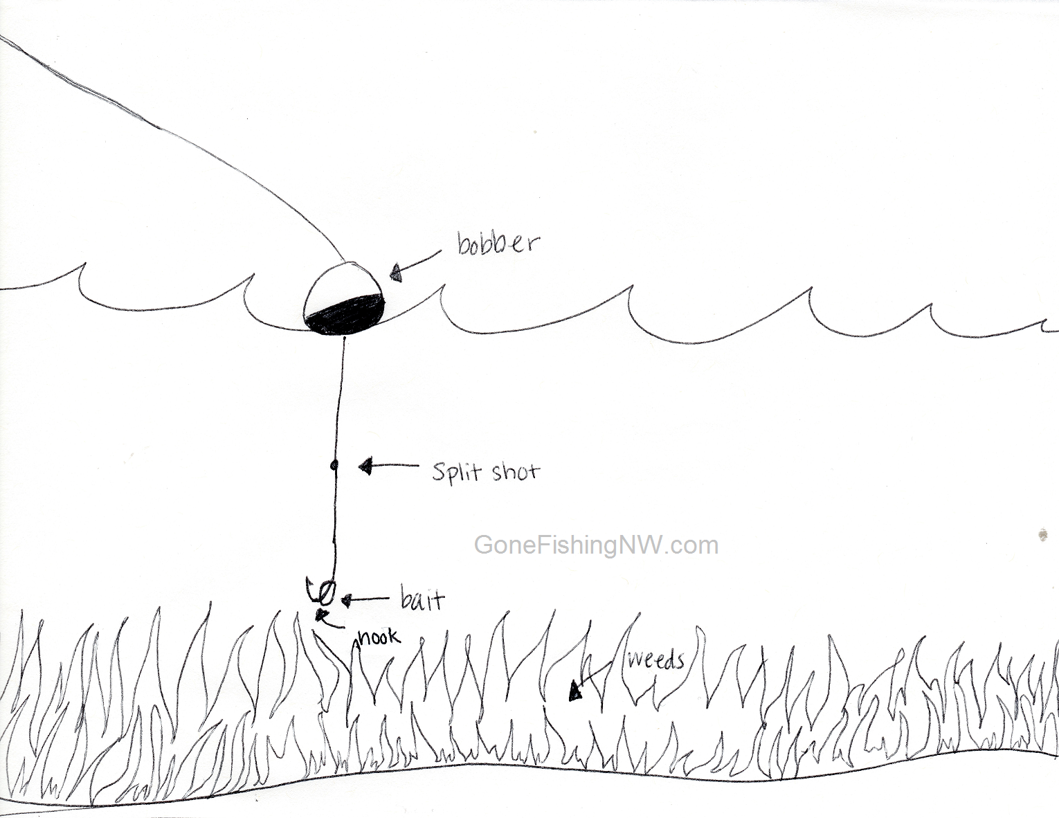 How To Catch Perch By The Hundreds – Gone Fishing Northwest