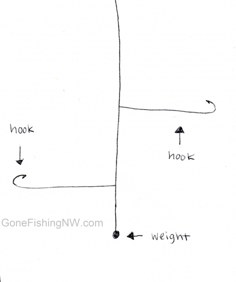 How To Catch Perch By The Hundreds – Gone Fishing Northwest
