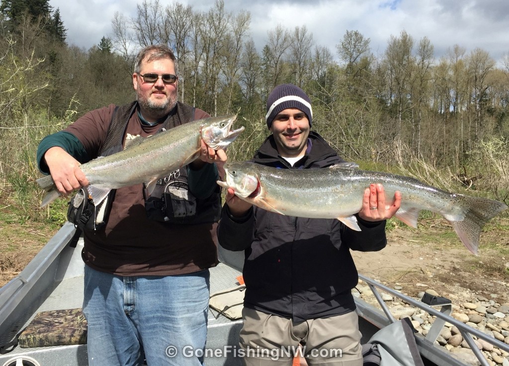 Steelheadaganza VII – Cowlitz River Steelhead Fishing Report – Gone ...