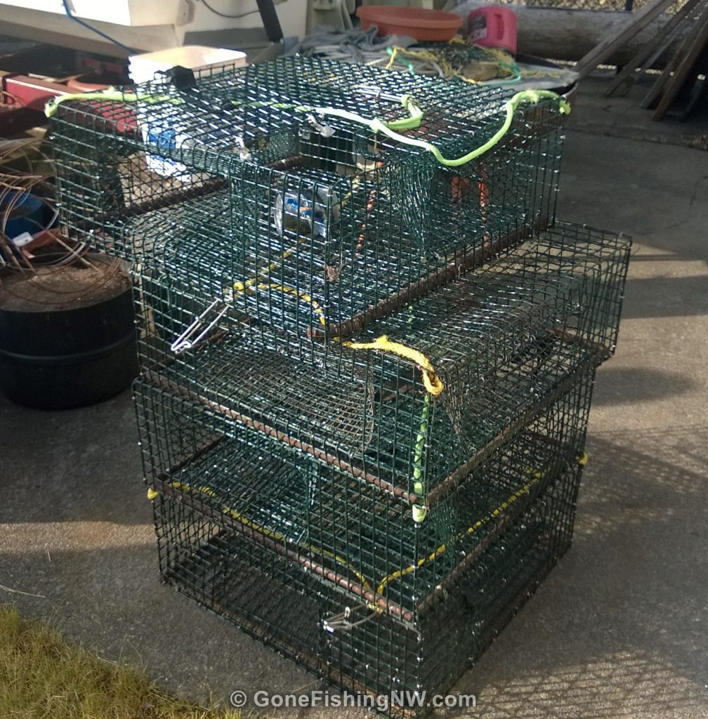 How To Catch Your Limit Of Spot Shrimp – Gone Fishing Northwest