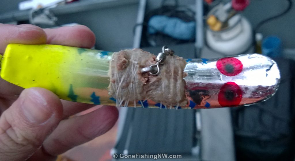 Best How To Guide For Plug Fishing For Steelhead – Part 2 – Gone ...