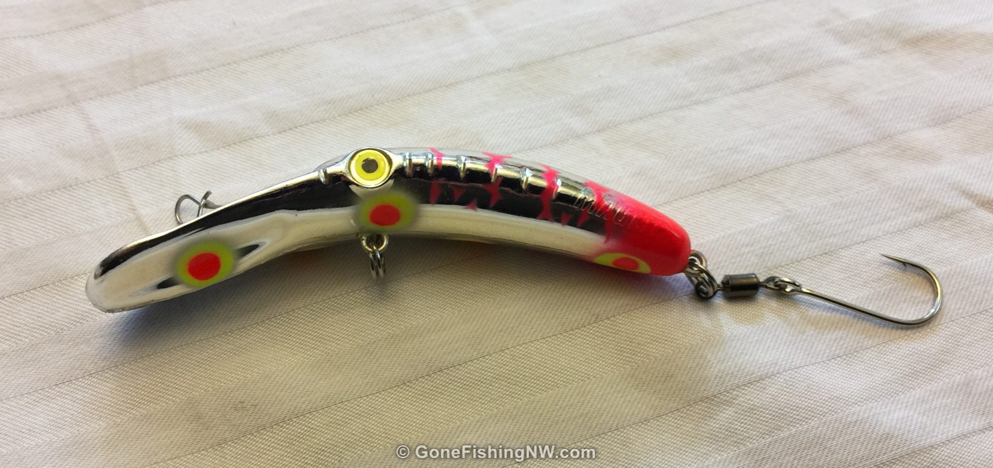 Best How To Guide For Plug Fishing For Steelhead – Part 1 – Gone ...