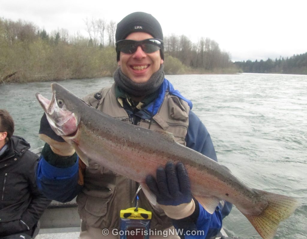 simles-from-winter-run-steelhead – Gone Fishing Northwest