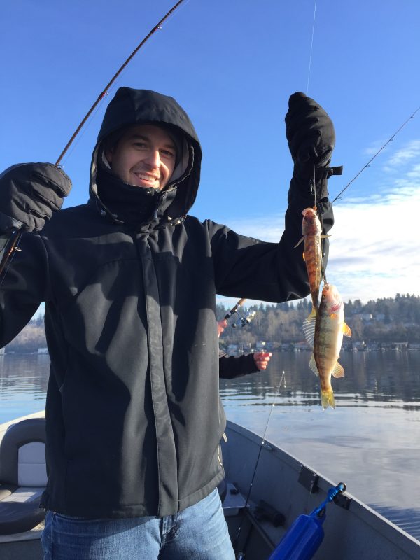 Lake Washington Perch Fishing Secrets – Gone Fishing Northwest
