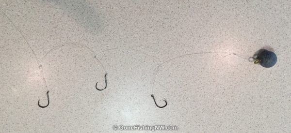 Perch Drop Shot Rig – Gone Fishing Northwest