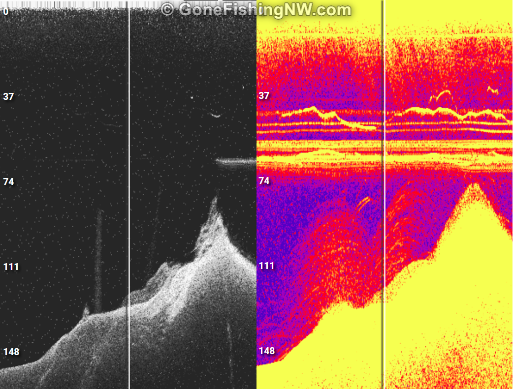 DownscanVsSonar – Gone Fishing Northwest