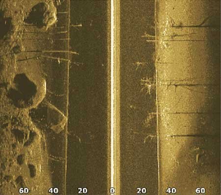 Side Scan Images Of Fish Sonar Imaging | Simrad USA