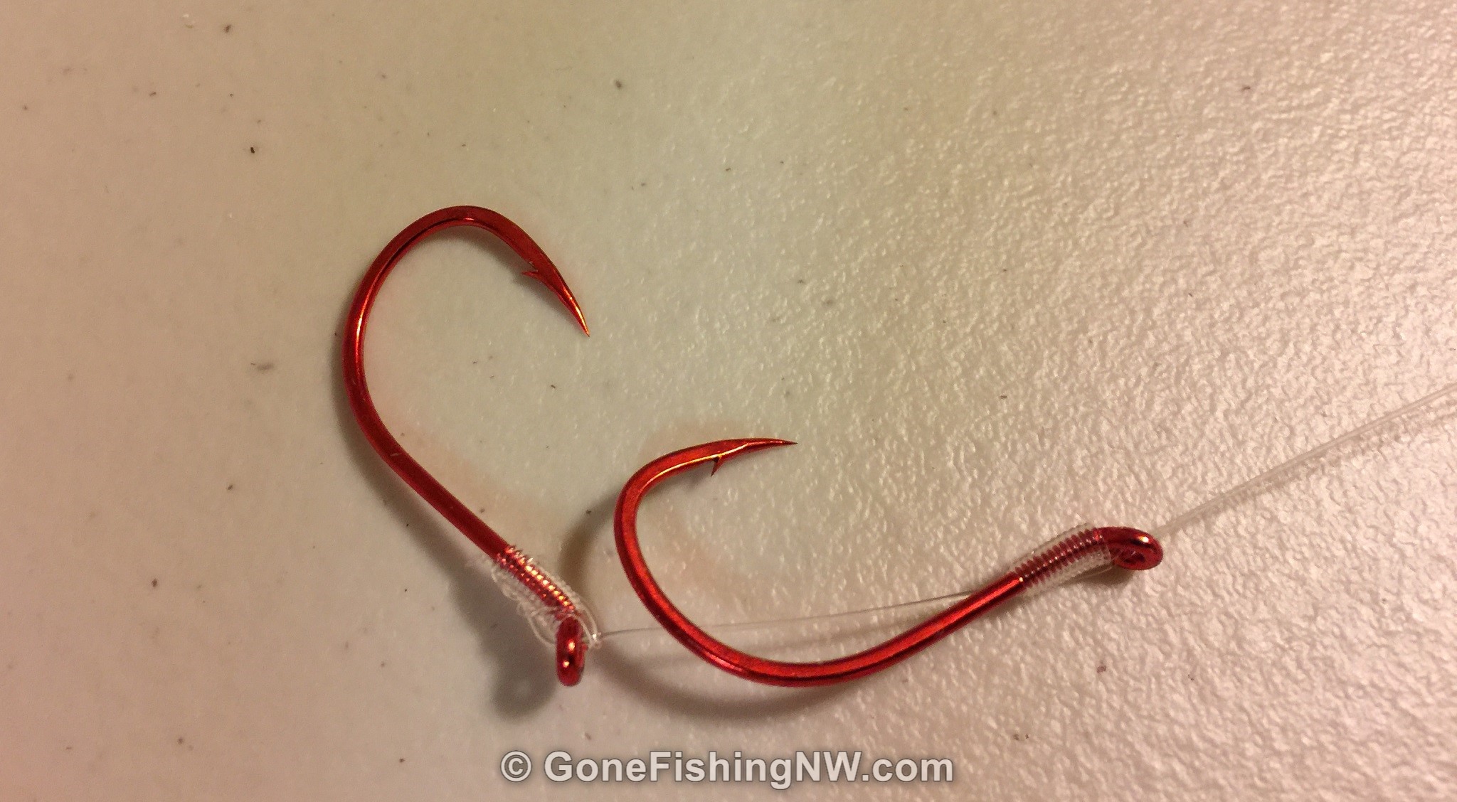 The Best Guide To Fish For Sockeye In Lakes – Gone Fishing Northwest
