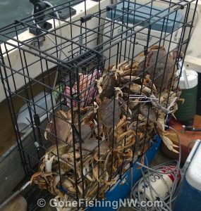 Puget Sound Dungeness Crab Fishing: Tips and Techniques for Catching ...