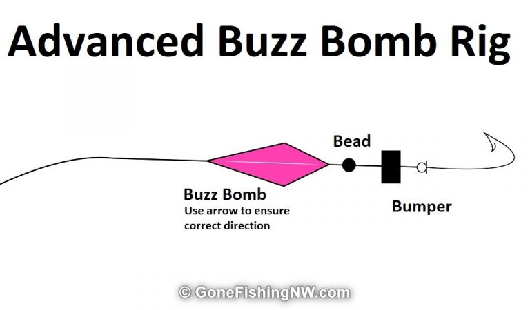 The Best Guide to Beach Fish for Pink Salmon – Gone Fishing Northwest